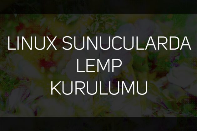 Linux LEMP Kurulumu (Nginx, Mysql, PHP) - Mahmut YUM